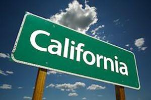 What is a Supplemental Expert Designation?